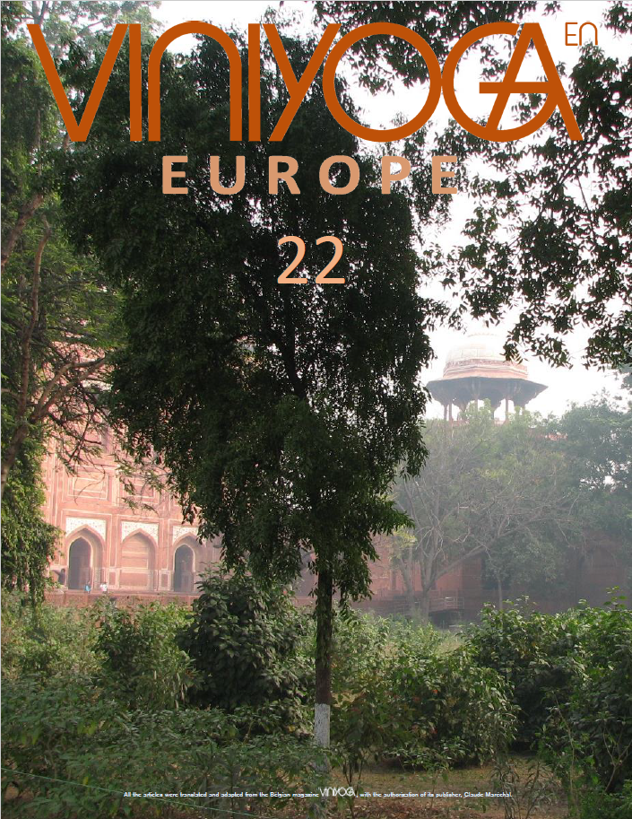 Viniyoga Europe 22 - Yoga Theory Applied